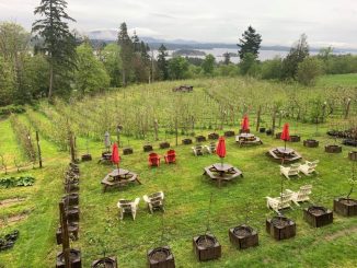 Saltspring Island Perfect for Girl’s Getaway