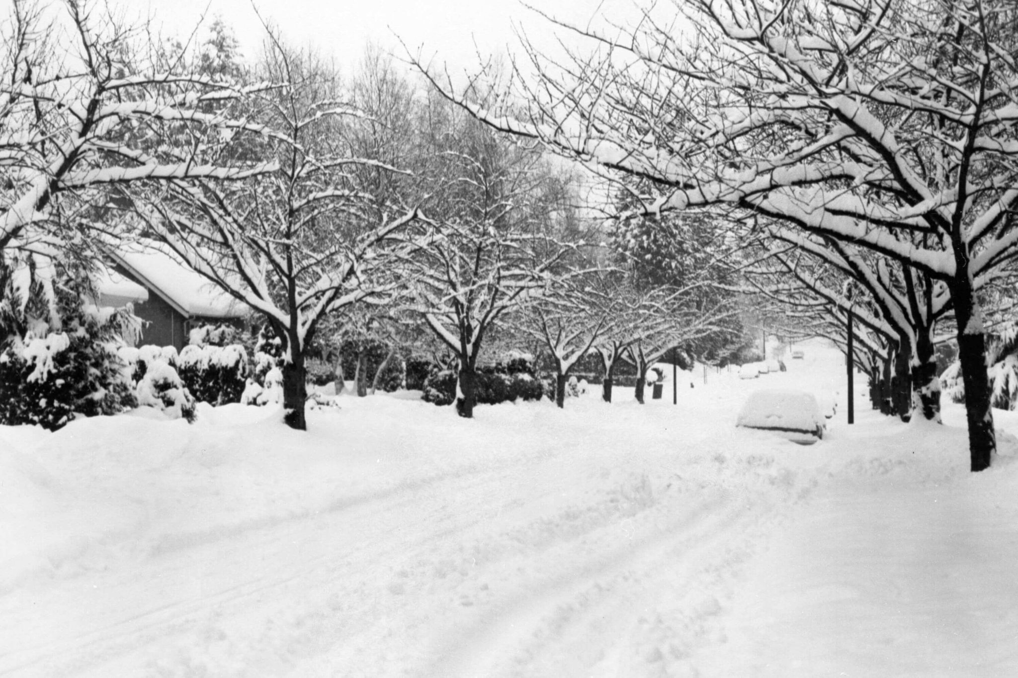Old Photographs of Vancouver's Snowy History