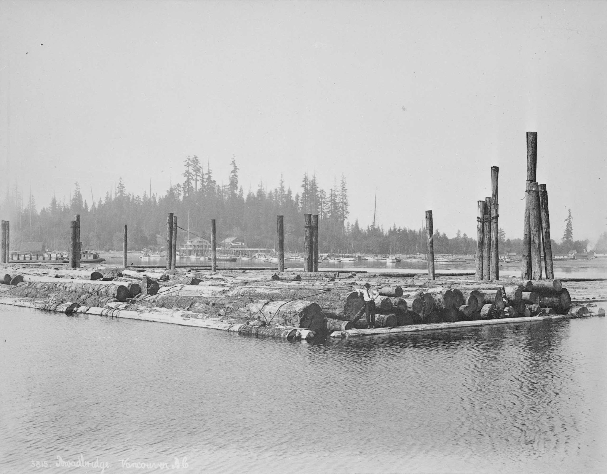 Old Photographs of Coal Harbour in Vancouver (1885-1975)