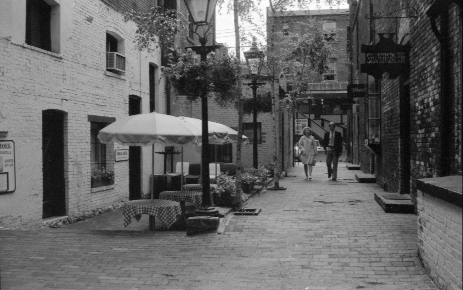 Old Photographs from Gastown (1880-1987)