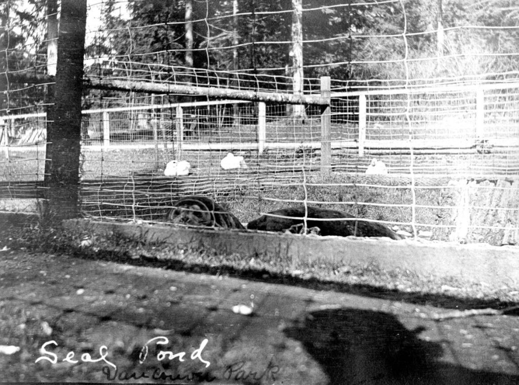 Old Photographs of the Stanley Park Zoo (1893-1986)