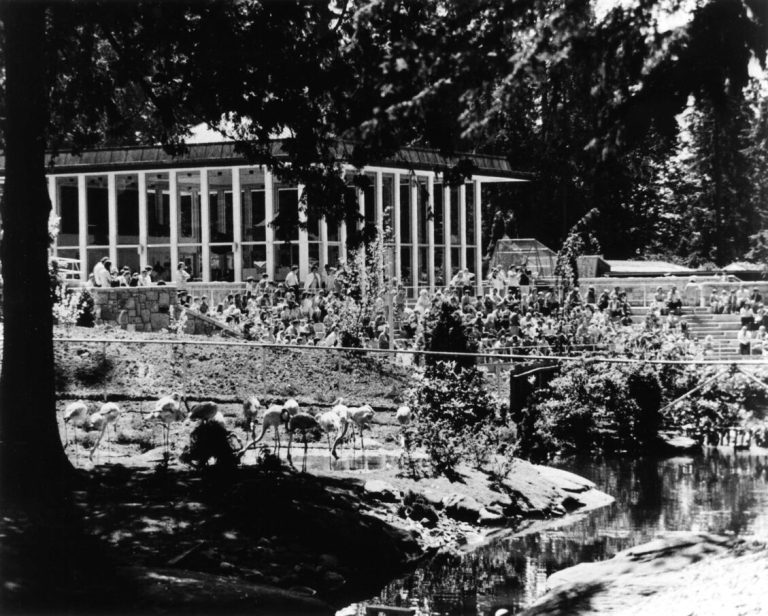 Old Photographs of the Stanley Park Zoo (1893-1986)