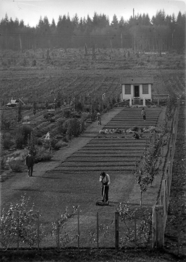 Old Photographs of Botanical Gardens (1911-1930)