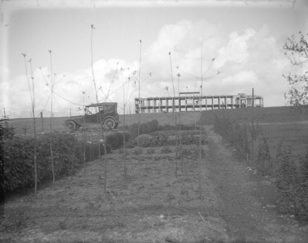 Old Photographs of Botanical Gardens (1911-1930)
