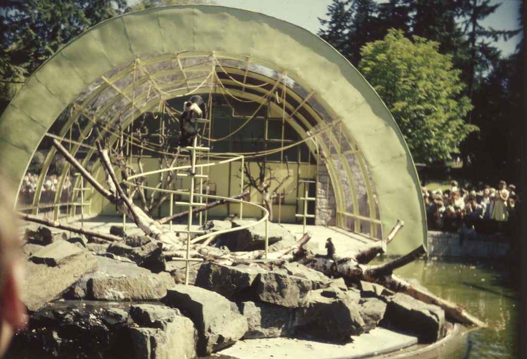 Old Photographs of Wildlife at Stanley Park (1930-1986)