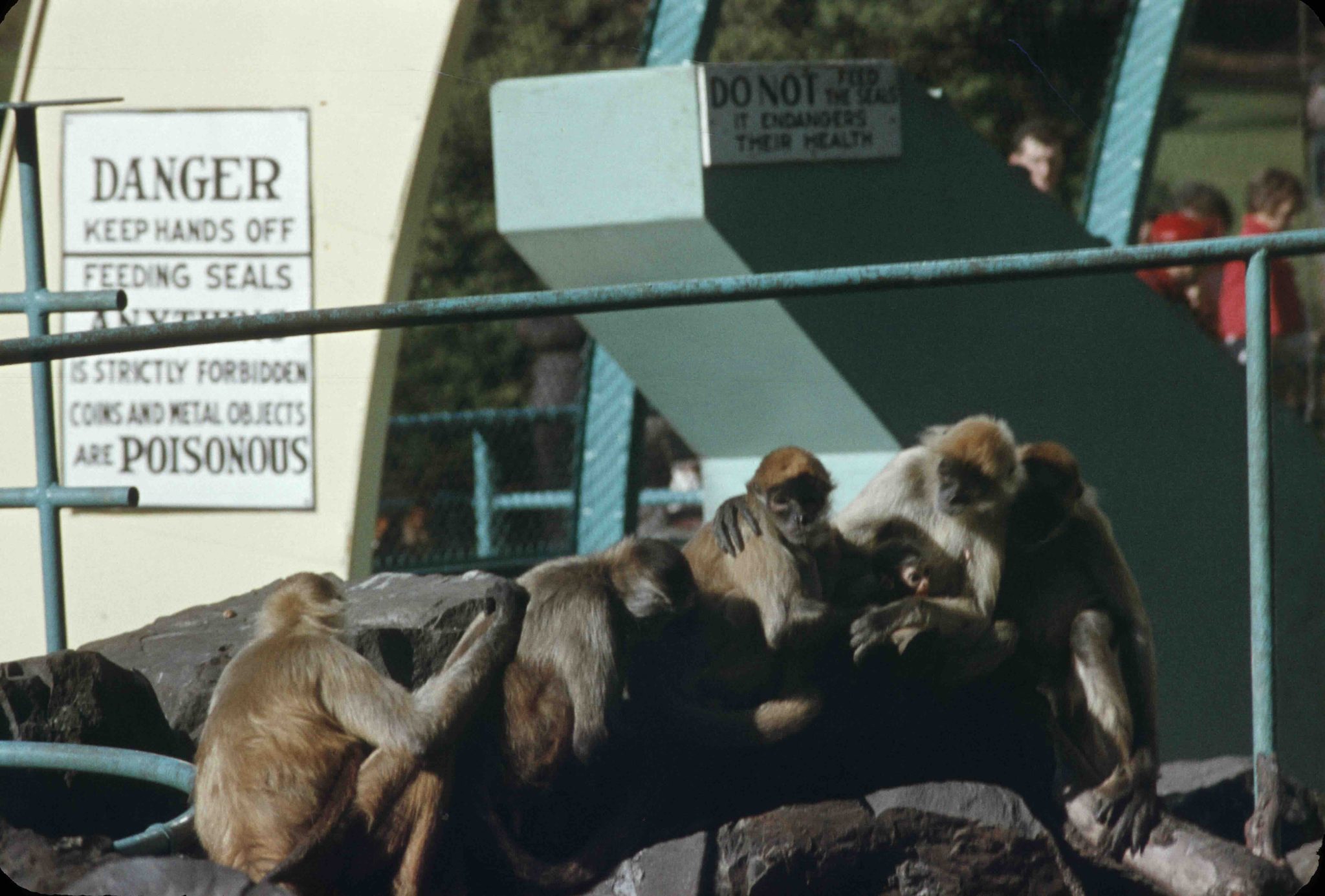 Old Photographs of Wildlife at Stanley Park (1930-1986)