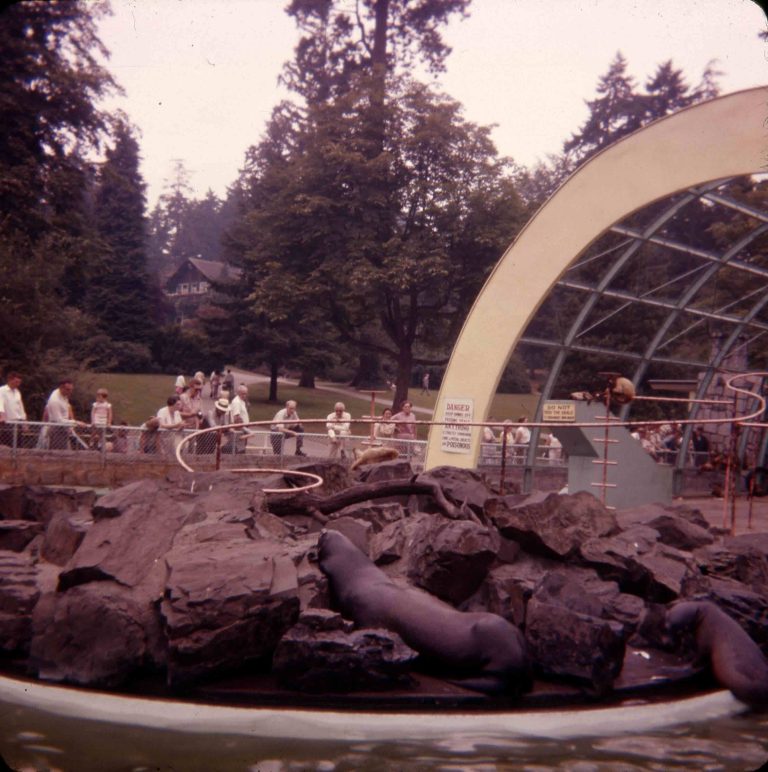 Old Photographs of Wildlife at Stanley Park (1930-1986)